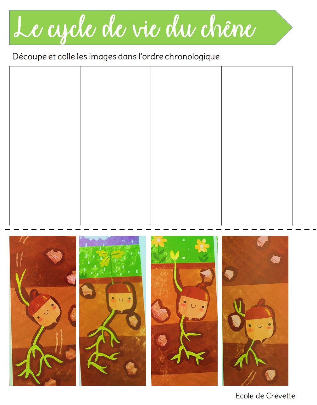 Le petit gland – L ecole de crevette