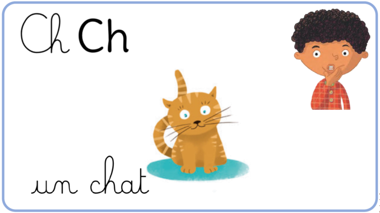 Affichage des sons – L ecole de crevette