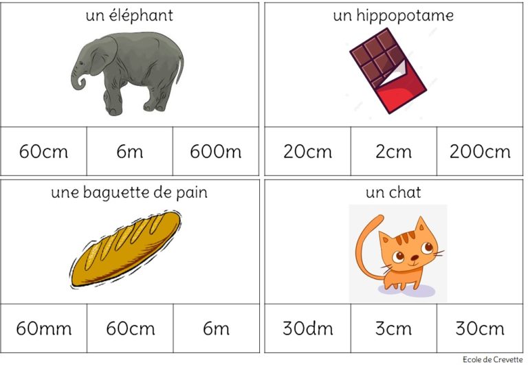 Ateliers sur les longueurs – L ecole de crevette