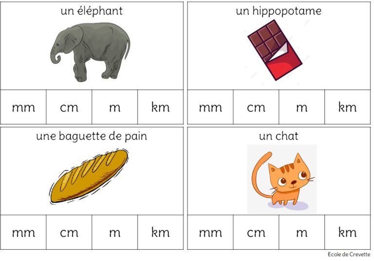 Ateliers sur les longueurs – L ecole de crevette