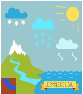 Le cycle de l'eau - L ecole de crevette