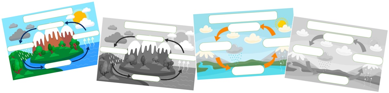 Le cycle de l’eau – La petite goutte de pluie – L ecole de crevette