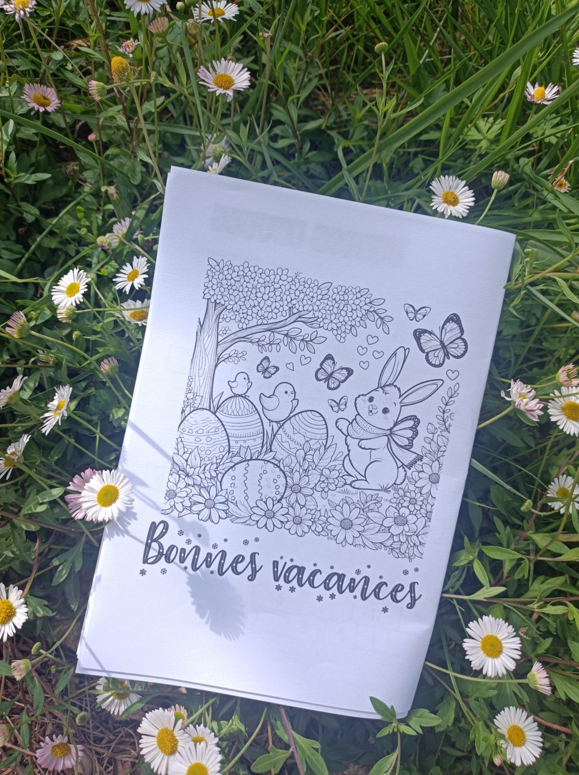 Le cahier de vacances de Printemps – L ecole de crevette