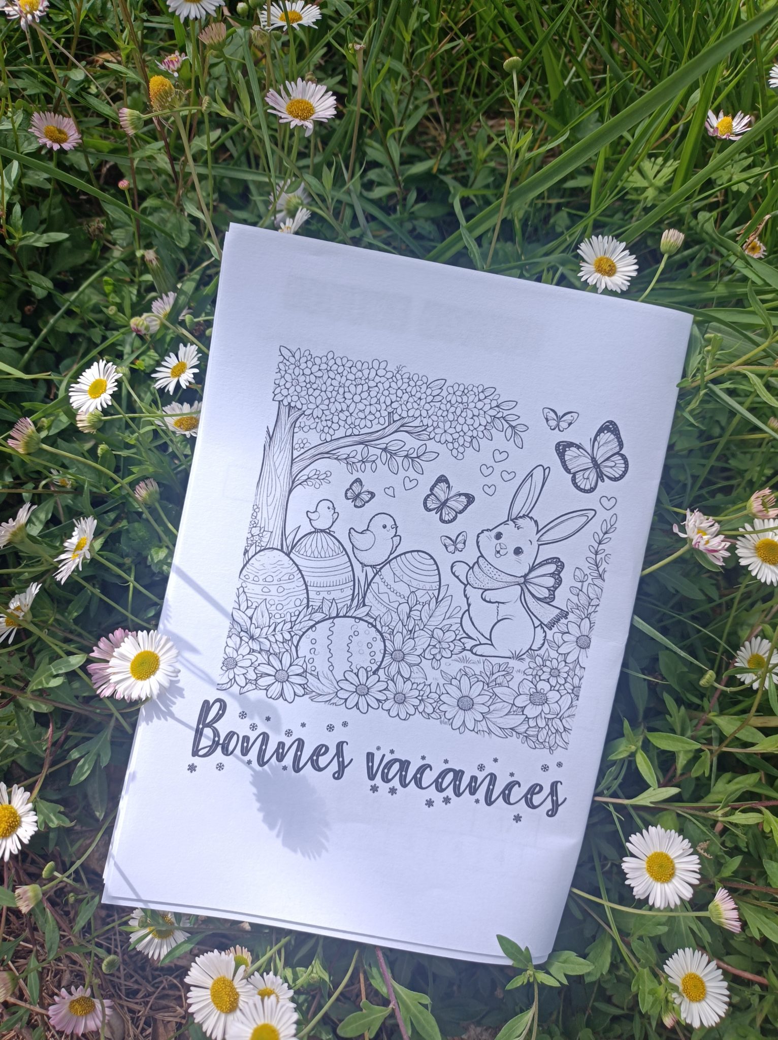 Le cahier de vacances de Printemps – L ecole de crevette