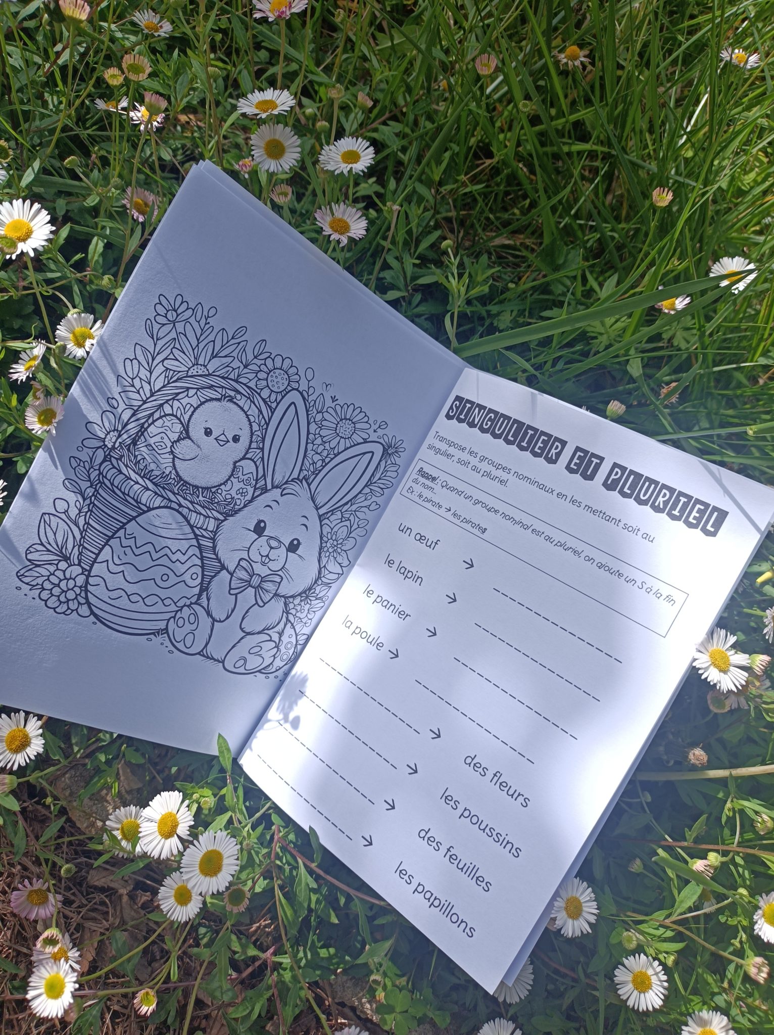 Le cahier de vacances de Printemps – L ecole de crevette