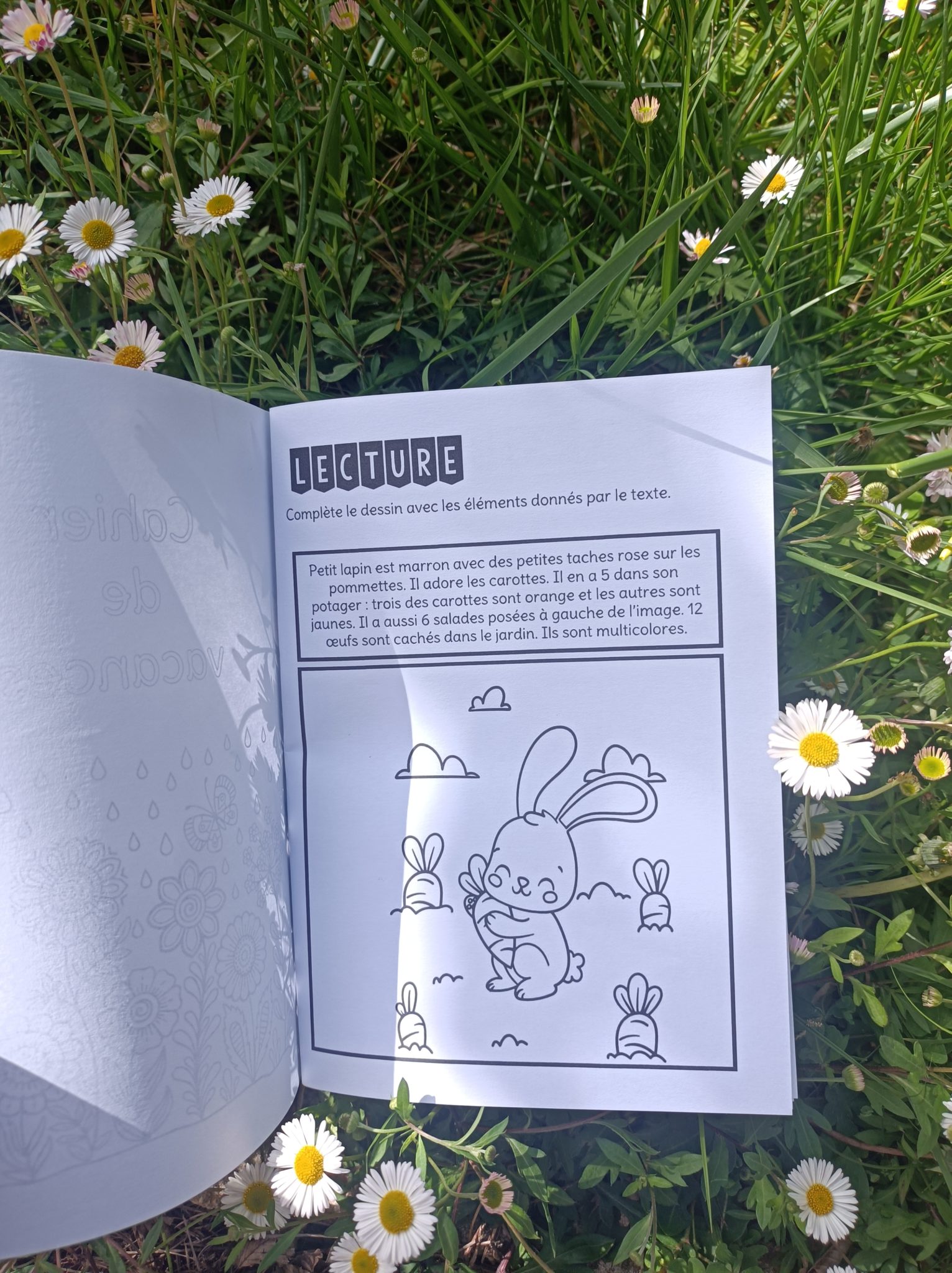 Le cahier de vacances de Printemps – L ecole de crevette