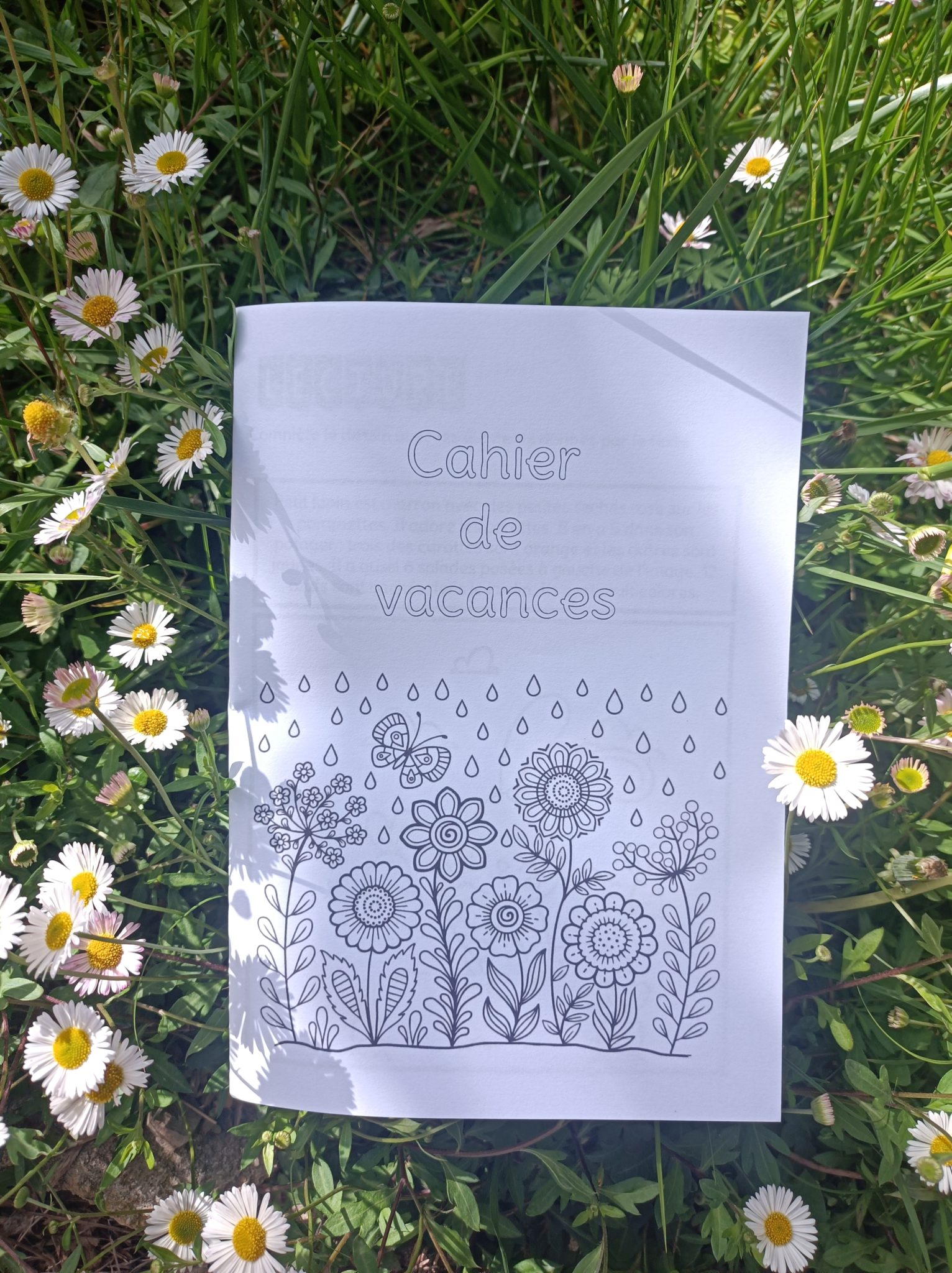 Le cahier de vacances de Printemps – L ecole de crevette