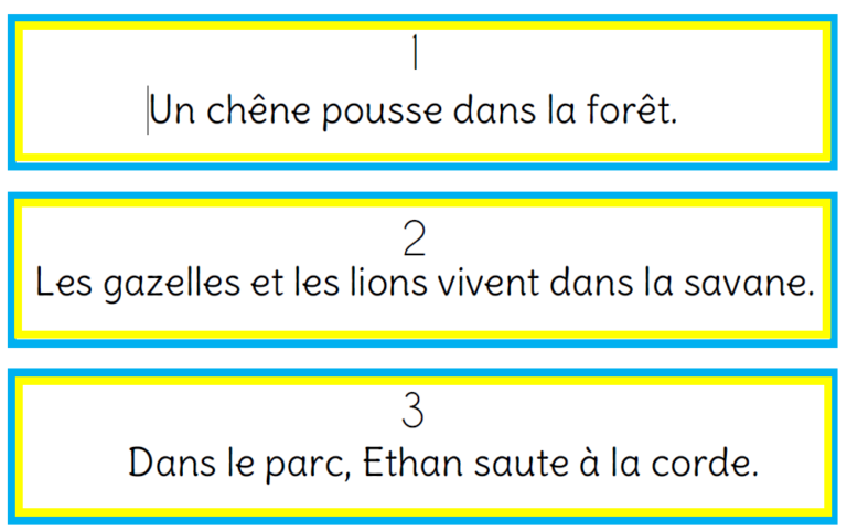 La phrase négative – L ecole de crevette
