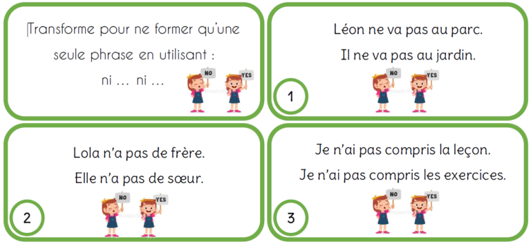 La phrase négative – L ecole de crevette