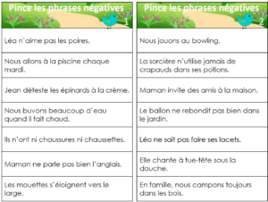 La phrase négative – L ecole de crevette