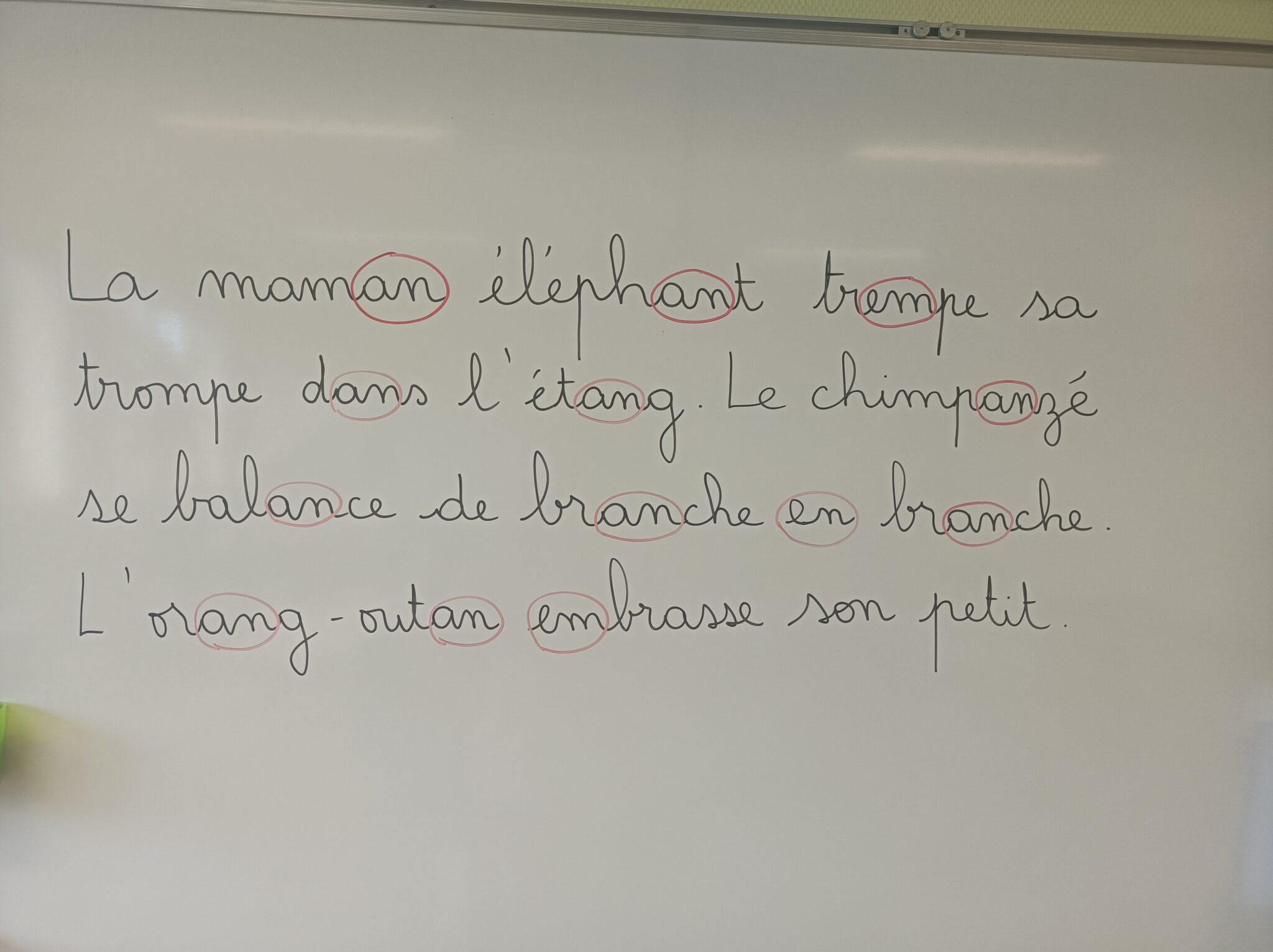 Guide pour l’enseignant – Etude des sons au CE1 – L ecole de crevette